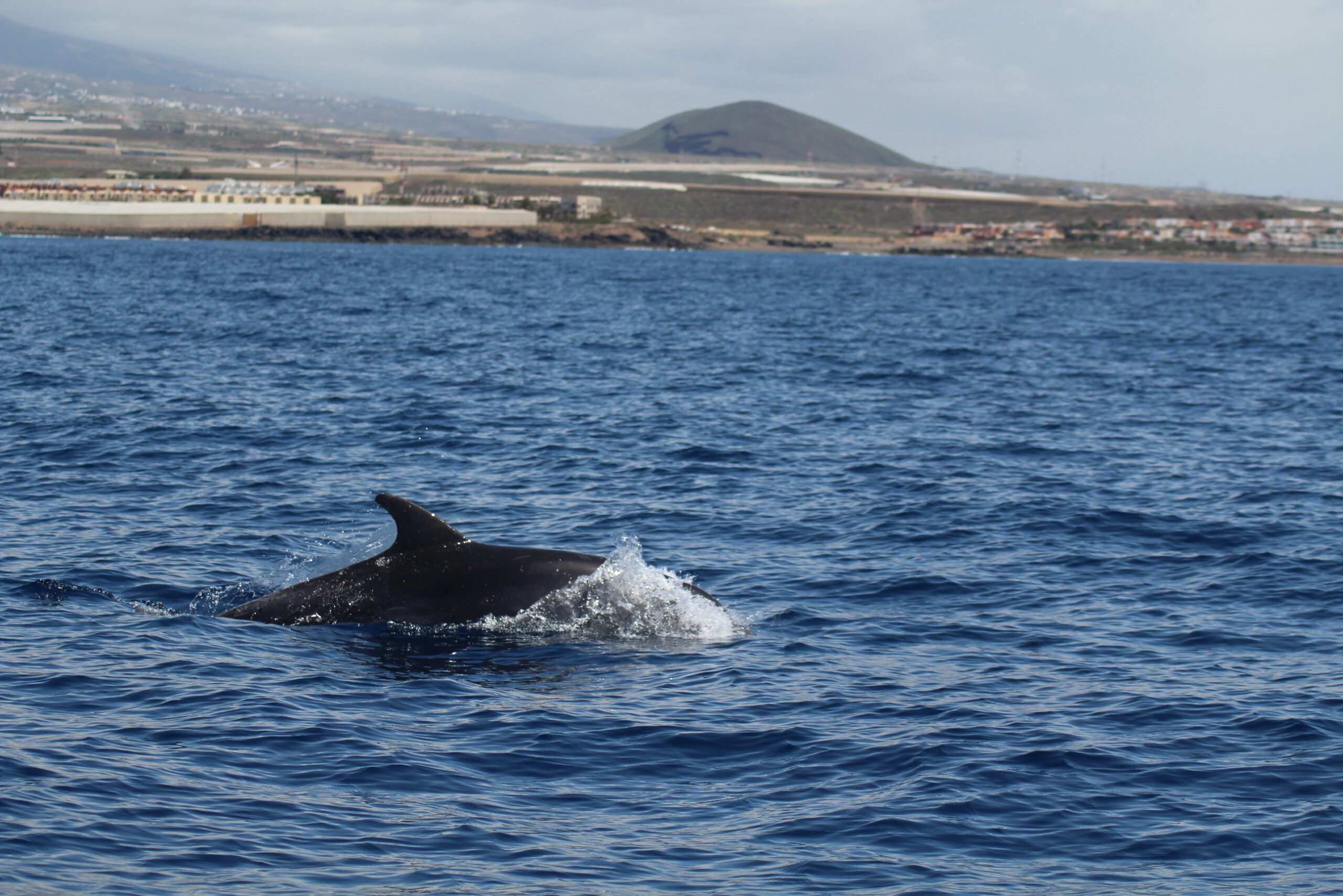 Galerii | Kanaari saared piltidel